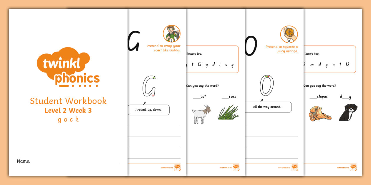 'g, o, c, k' Level 2 Week 3 Phonics Workbook | Twinkl