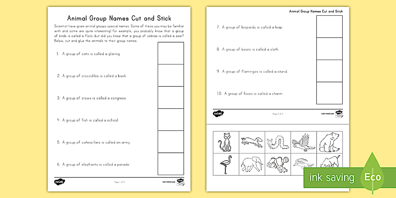 Animal Group Names Cut and Paste Worksheet (Teacher-Made)