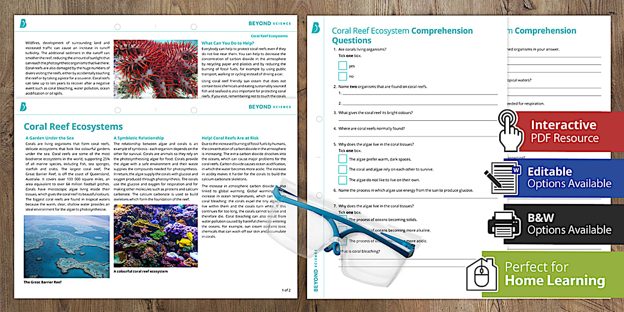 Editable Coral Reef Ecosystems Differentiated Reading Comprehension ...