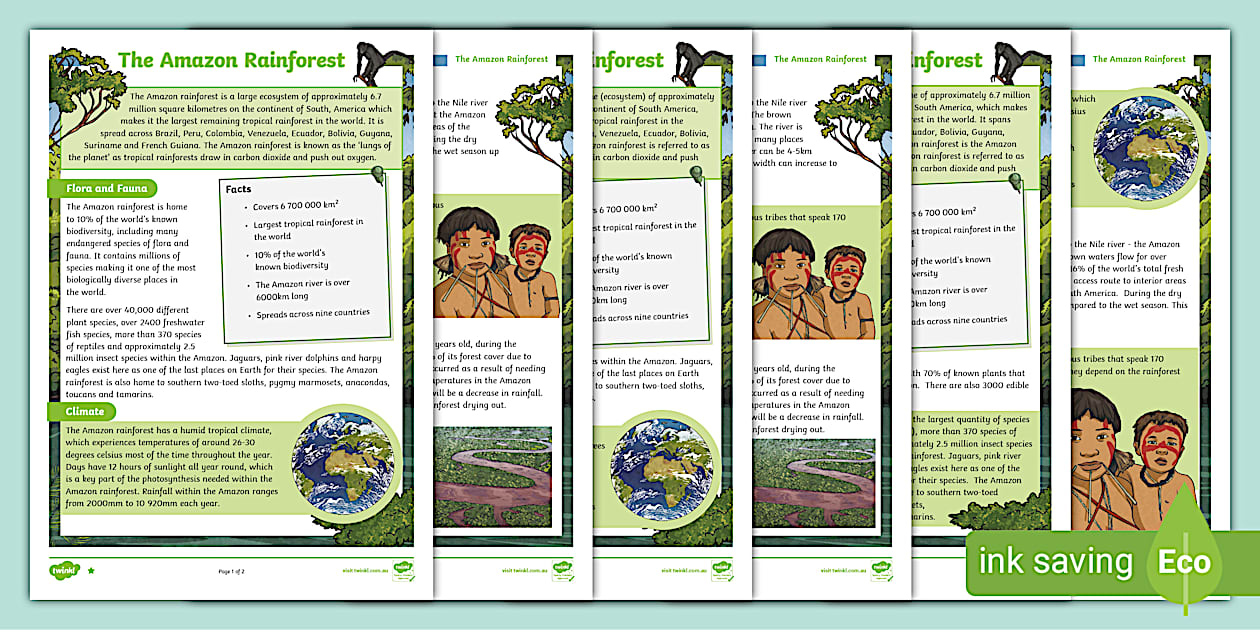 Amazon Rainforest Fact File | Differentiated Fact Files