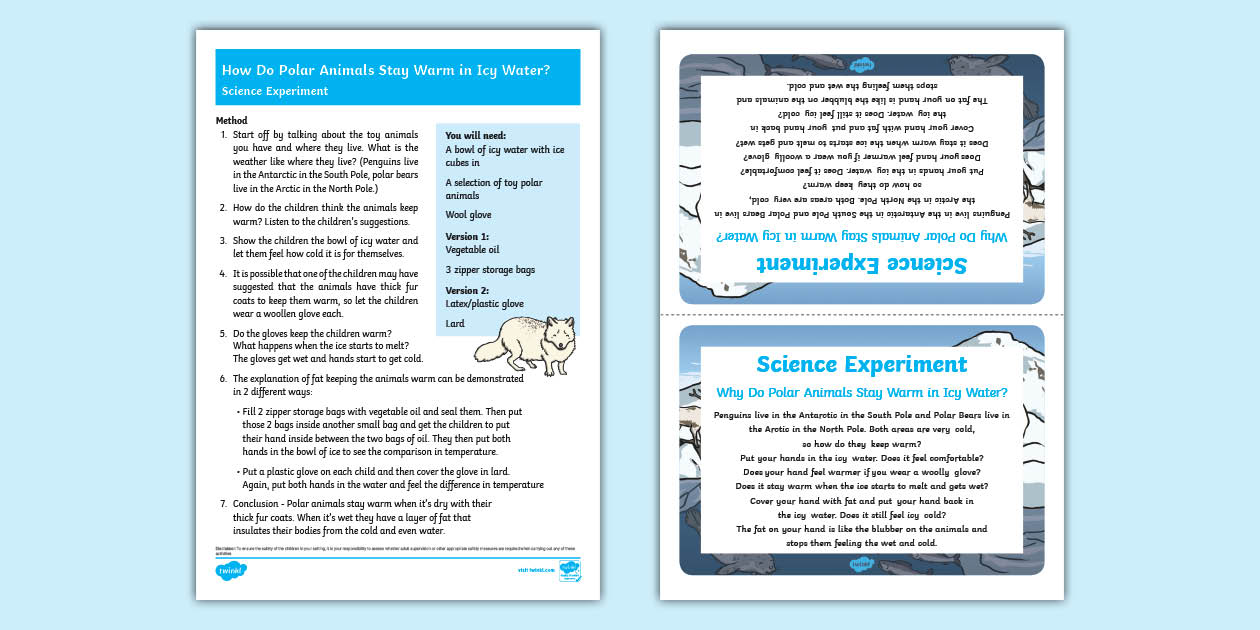 How Do Polar Animals Stay Warm? Science Experiment Pack