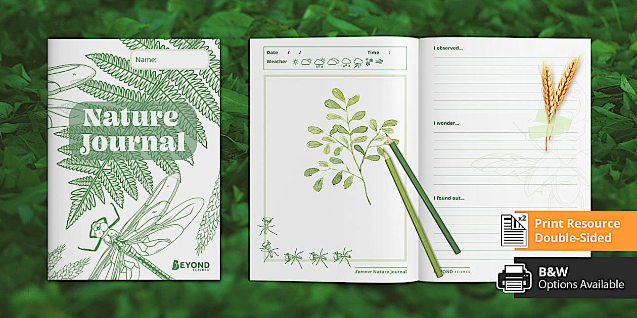 Summer Nature Journal (teacher made) - Twinkl