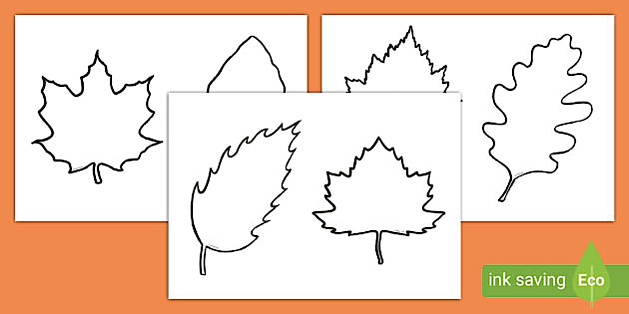 Autumn Leaf Stencil | Blank Leaves Template | Twinkl