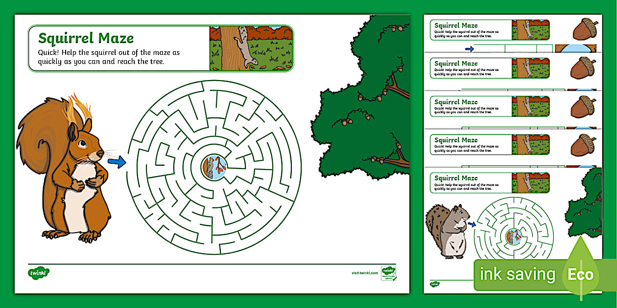 Squirrel Maze Activity Worksheets (teacher made) - Twinkl