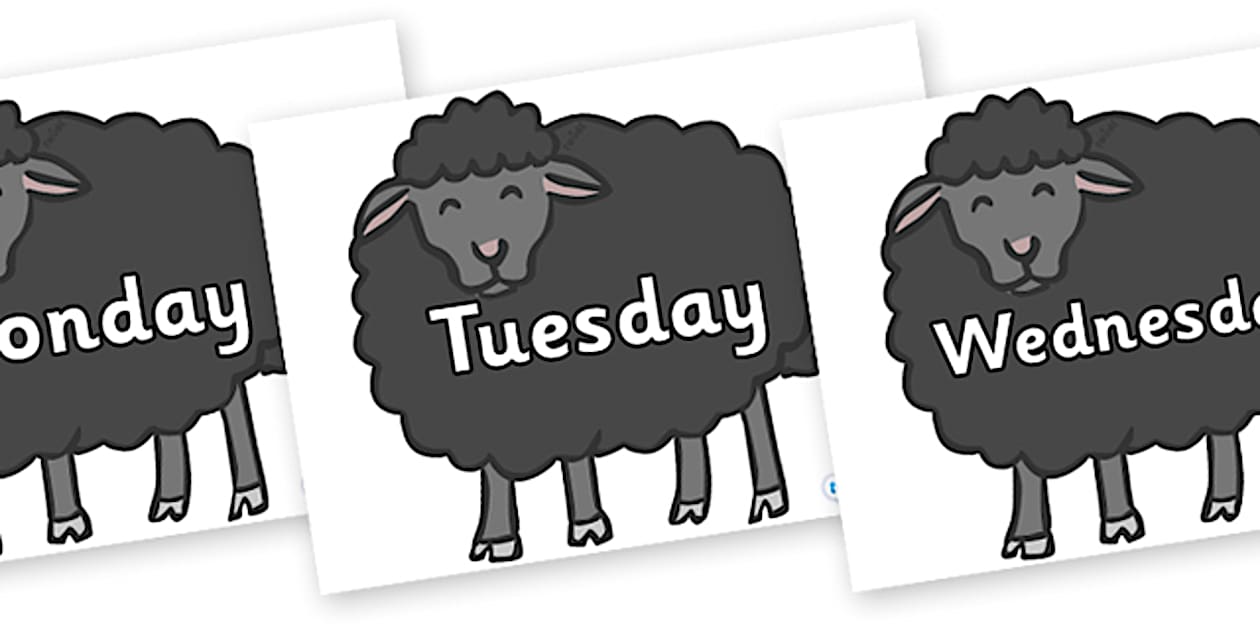 Days of the Week on Baa Baa Black Sheep - Twinkl
