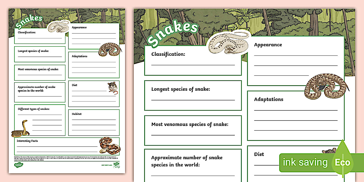 KS2 Snakes Fact File Template (teacher made) - Twinkl