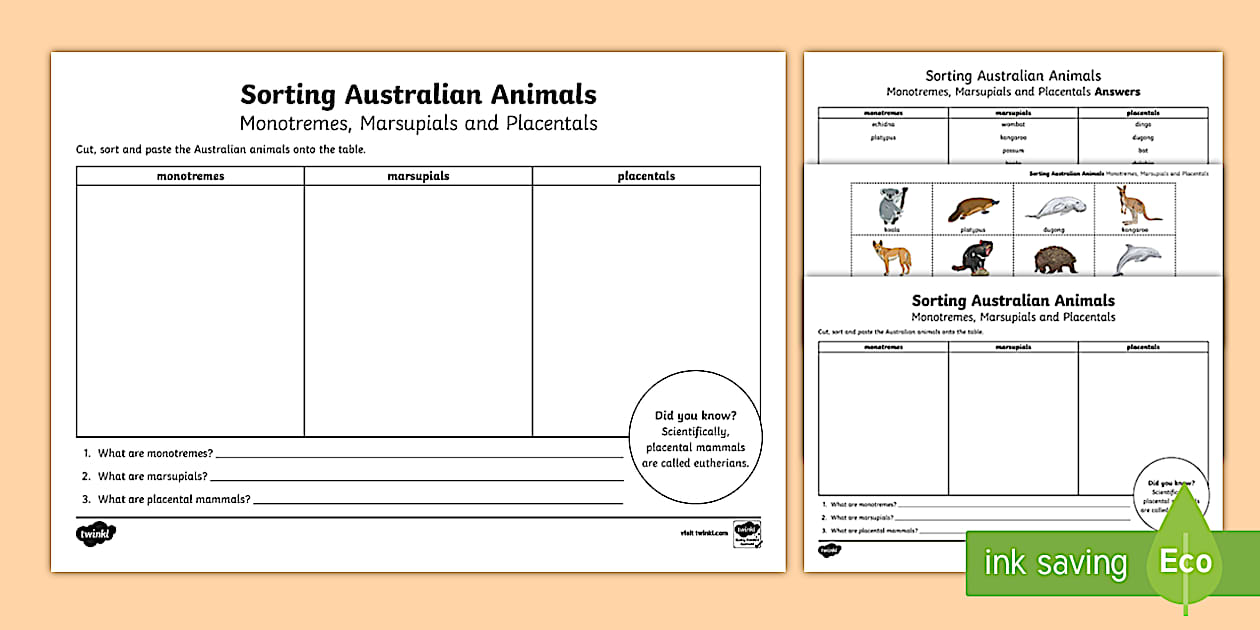 Monotremes Marsupials and Placentals Worksheet | Mammals