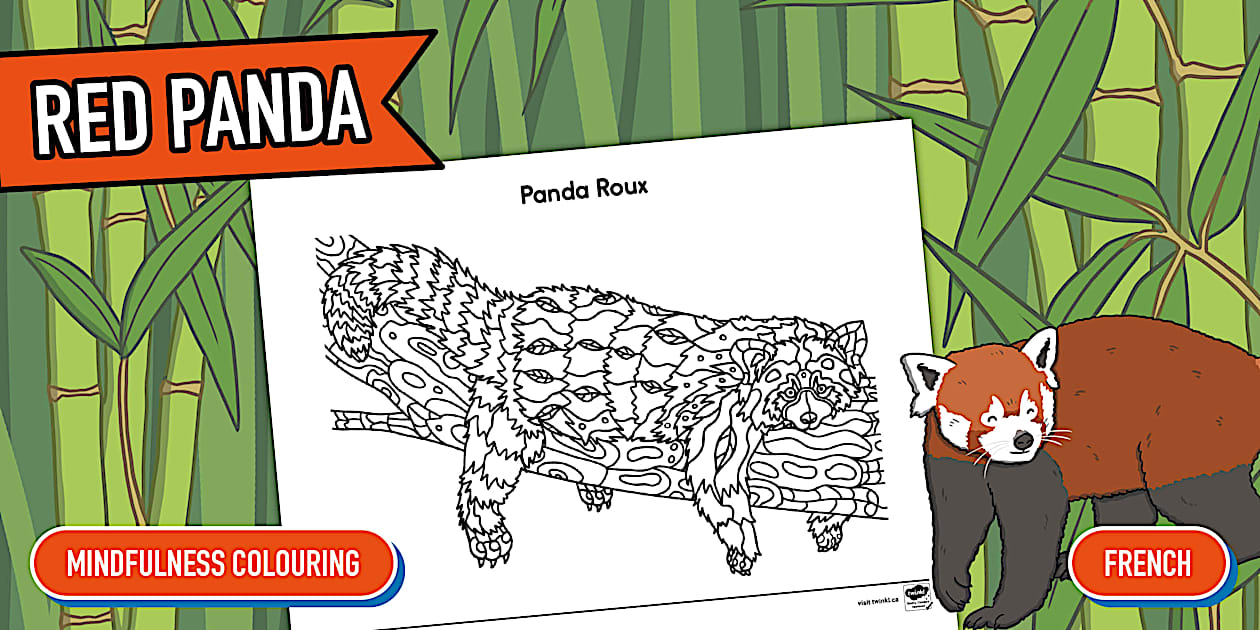 Primary Mindfulness Red Panda Colouring Page French - Twinkl