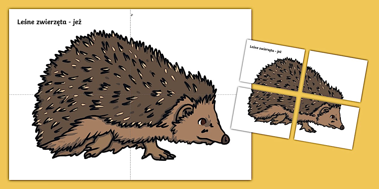 Leśne zwierzęta | Jeż | Puzzle (Teacher-Made) - Twinkl