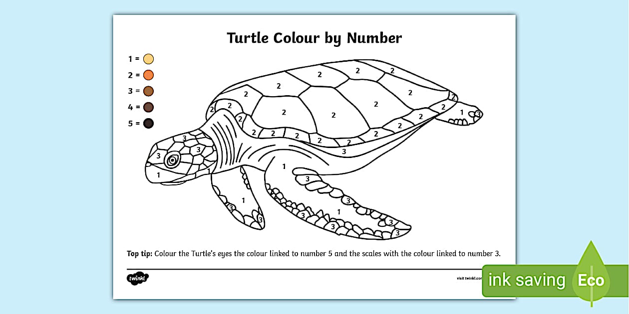 A Terrific Turtle Colour-by-Number Page | Twinkl | KS1