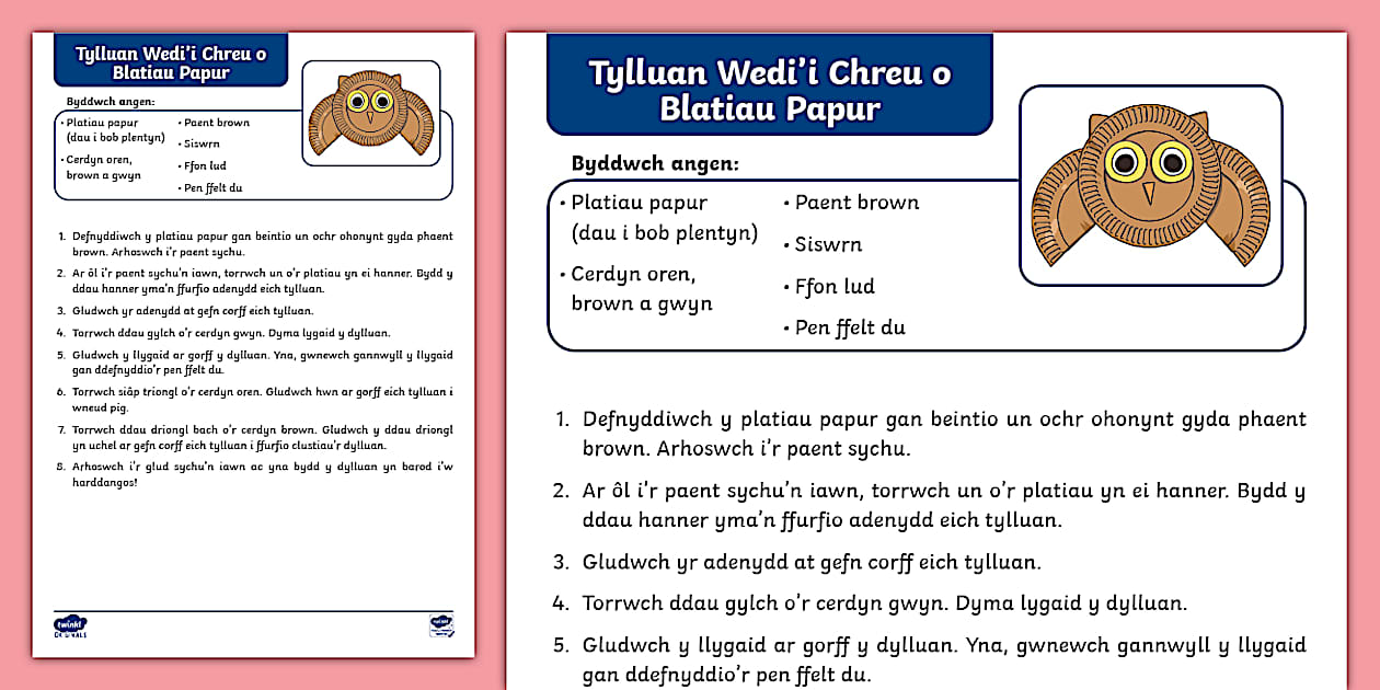 Cyfarwyddiadau Crefft: Creu Tylluan (teacher made) - Twinkl