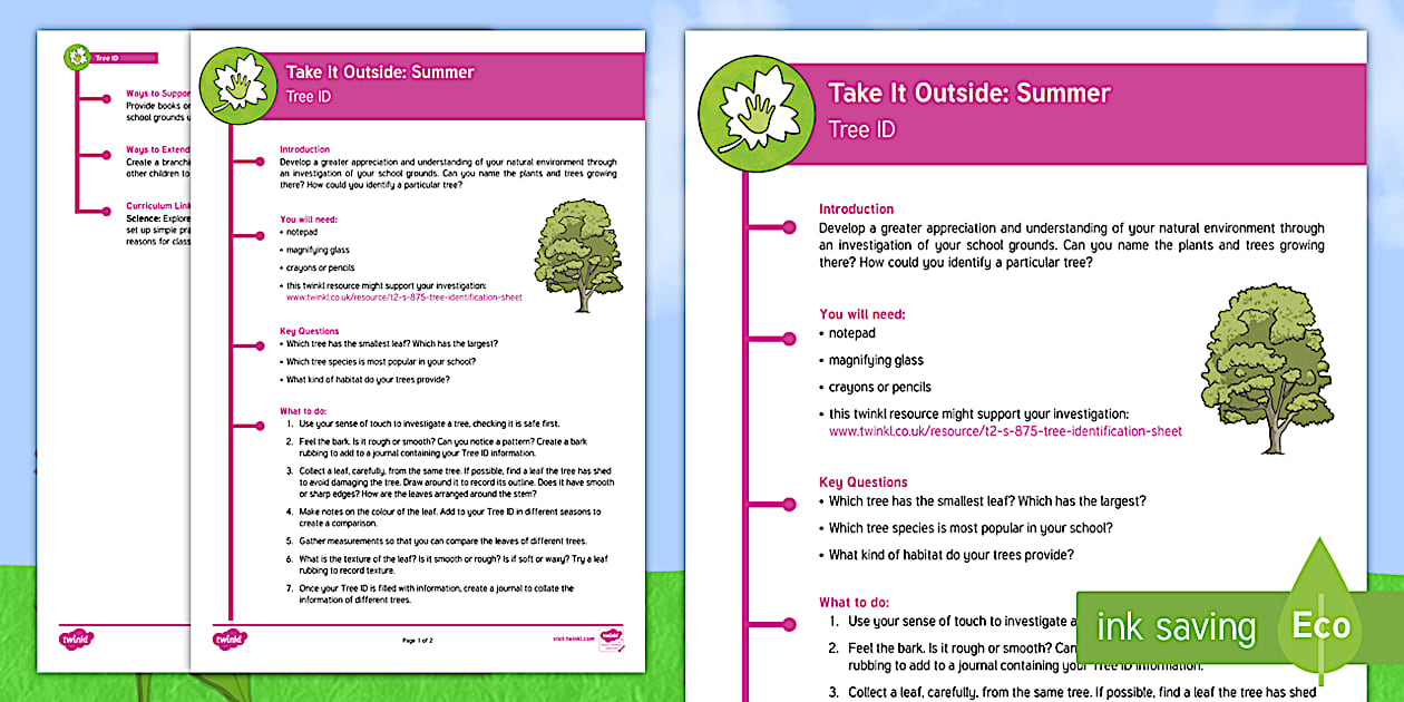 KS2 Take It Outside: Summer Tree ID Activity (teacher made)