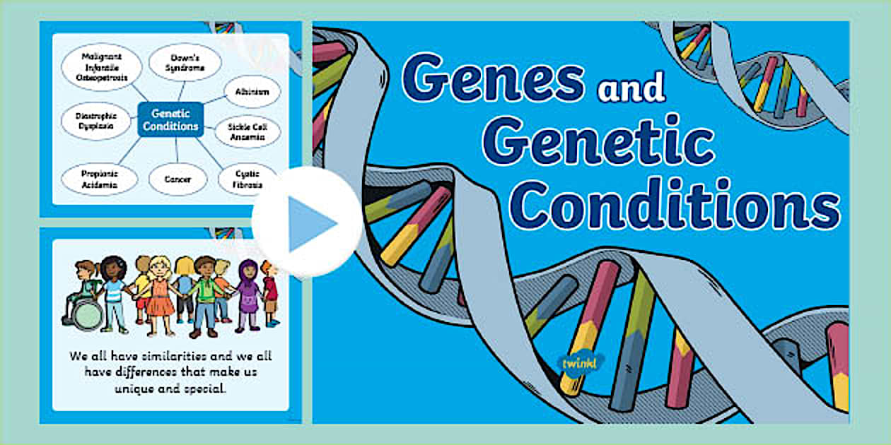 Genes and Genetic Conditions PowerPoint (teacher made)