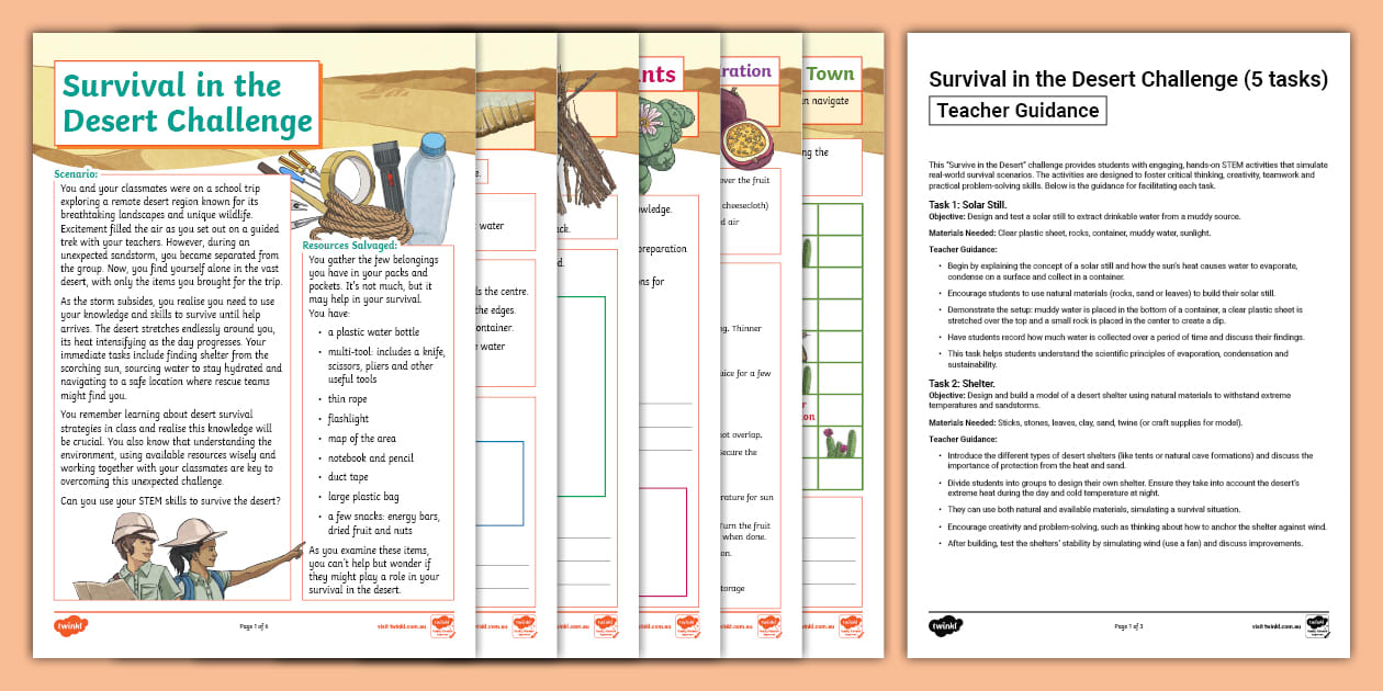 Survival in the Desert Challenge (5 STEM tasks) - Twinkl