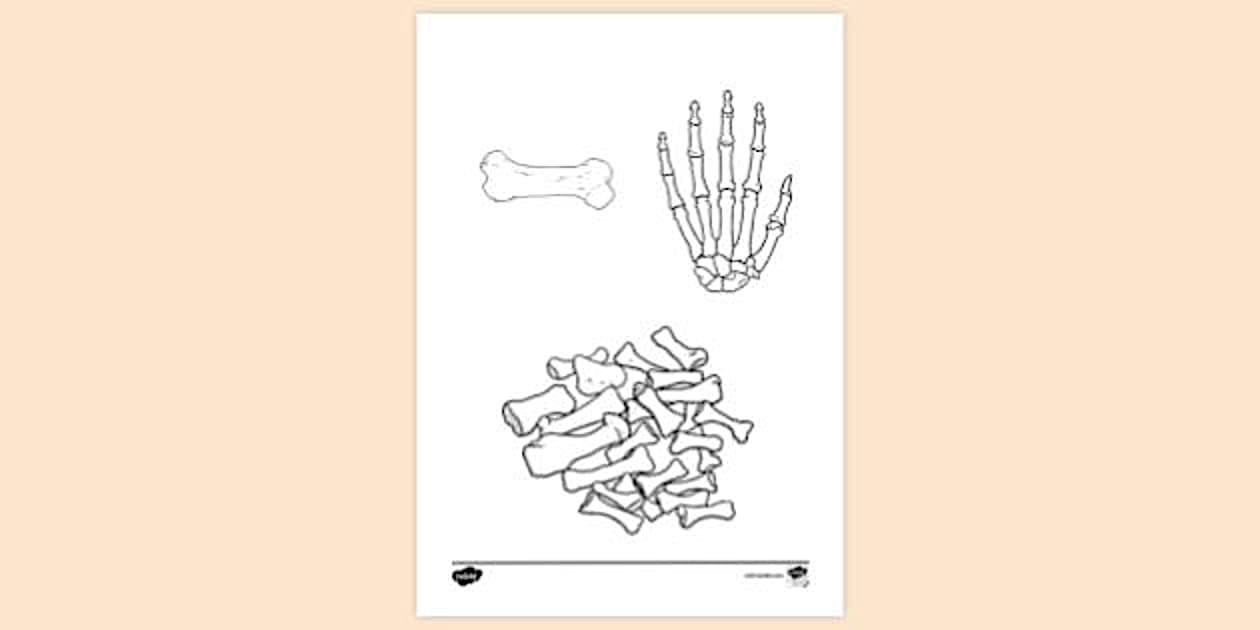 Bones Colouring Sheet | Colouring Sheets - Twinkl