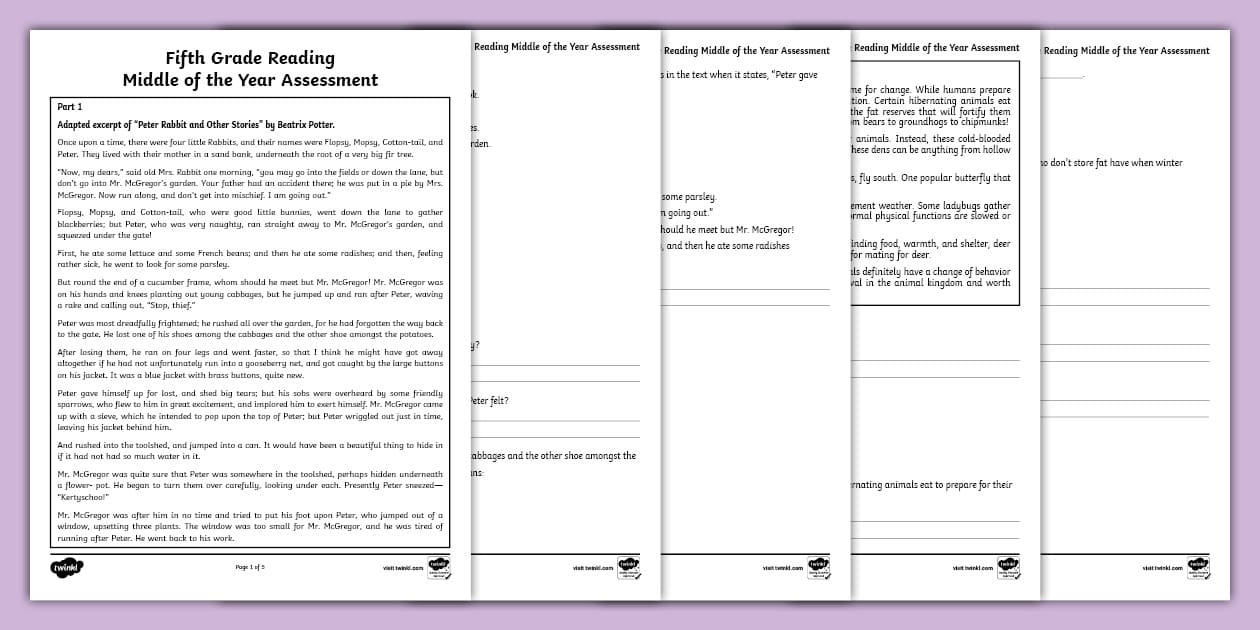 Fifth Grade Middle of the Year Reading Assessment - Twinkl