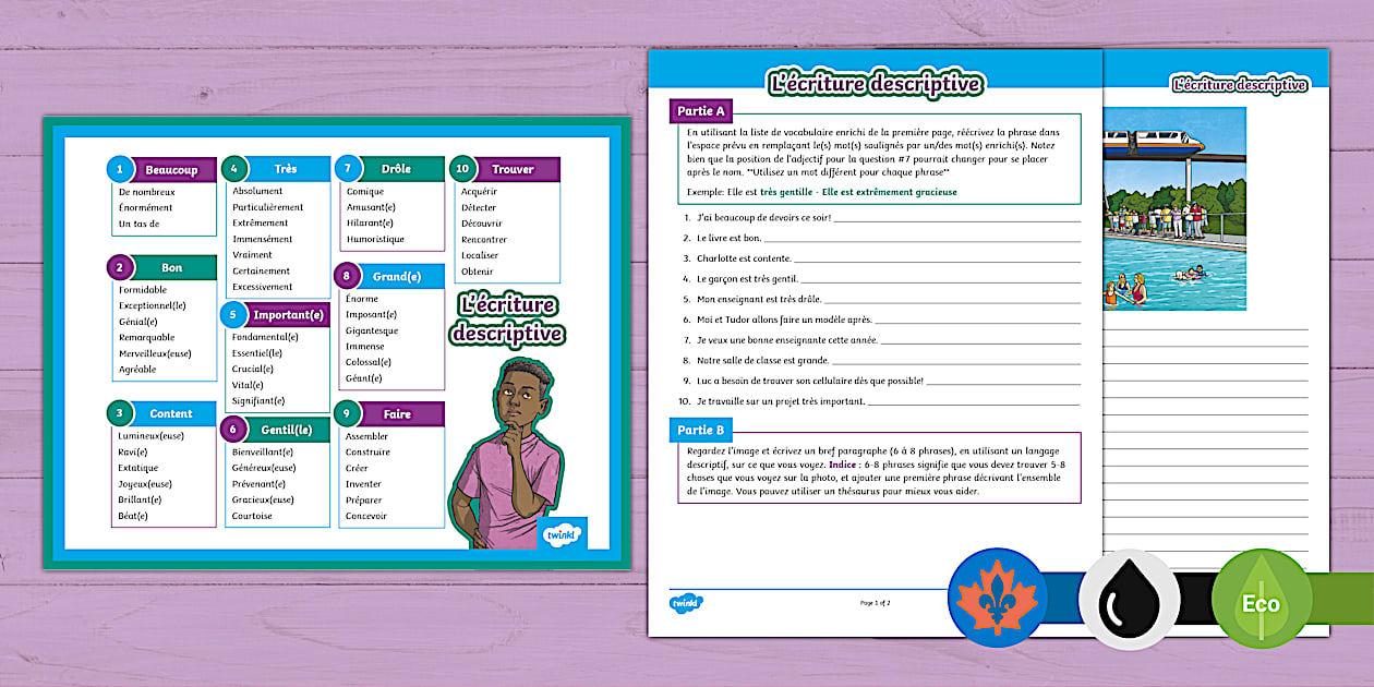 French Descriptive Writing Activity