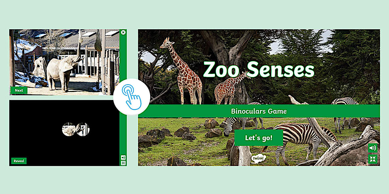 Zoo Senses Interactive Binoculars Game (Teacher-Made)
