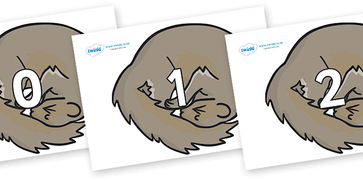 Numbers 0-100 on Grey Squirrels (teacher made) - Twinkl