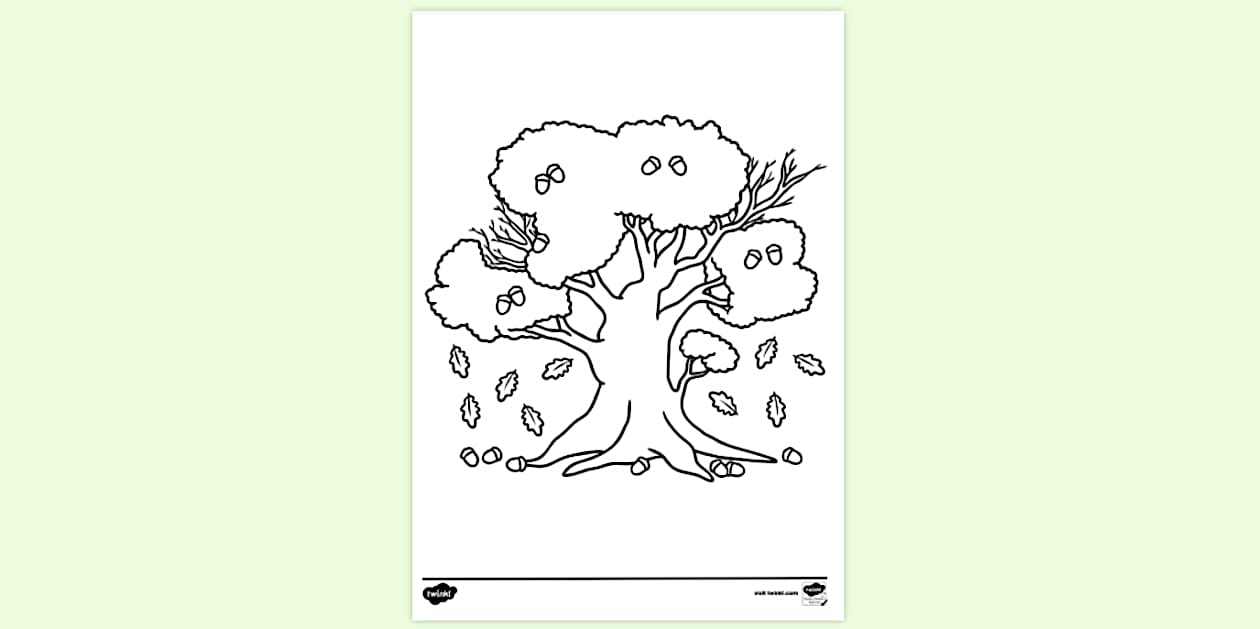 Oak Tree Colouring Sheet | Primary Colouring Pages | KS1