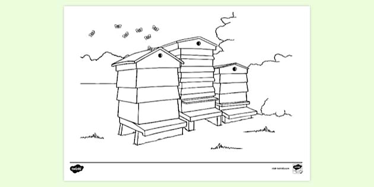 Bee Hive Colouring Page | Colouring Sheets (teacher made)