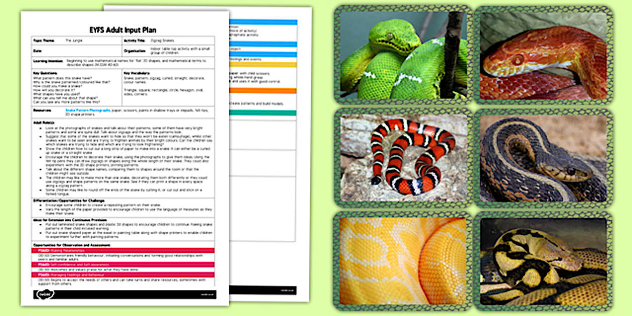 Black and White Zigzag Snakes EYFS Adult Input Plan and Resource Pack
