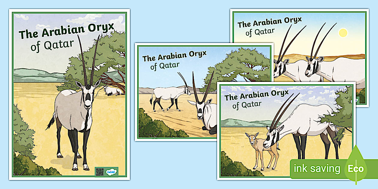 The Arabian Oryx of Qatar Display Posters - Twinkl