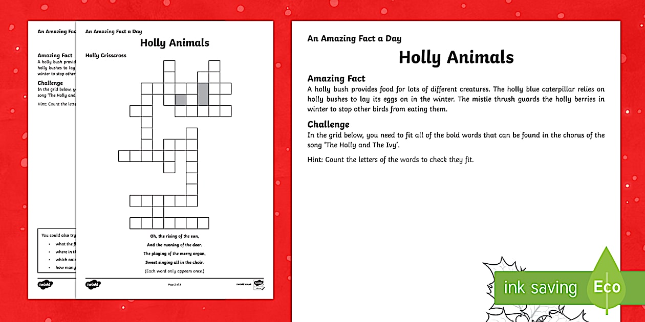 Holly-Themed Christmas Crisscross Worksheet (teacher made)