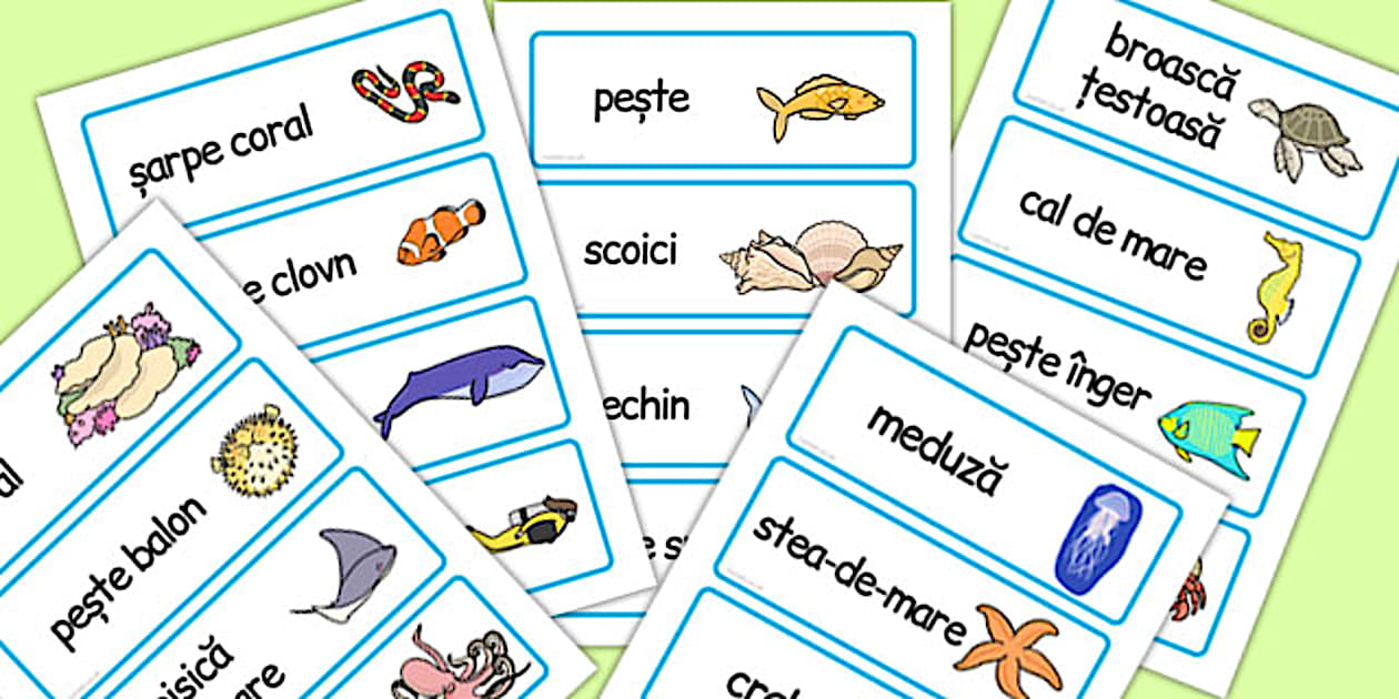Acvariul - Cartonașe cu imagini și cuvinte (teacher made)