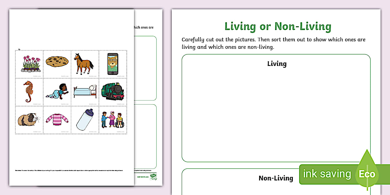 Living or Non-Living Sorting Activity Sheet (teacher made)