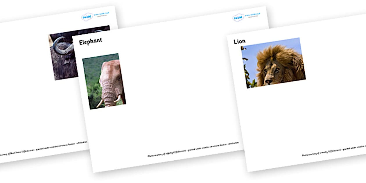 Safari Animals Finish the Picture Worksheets