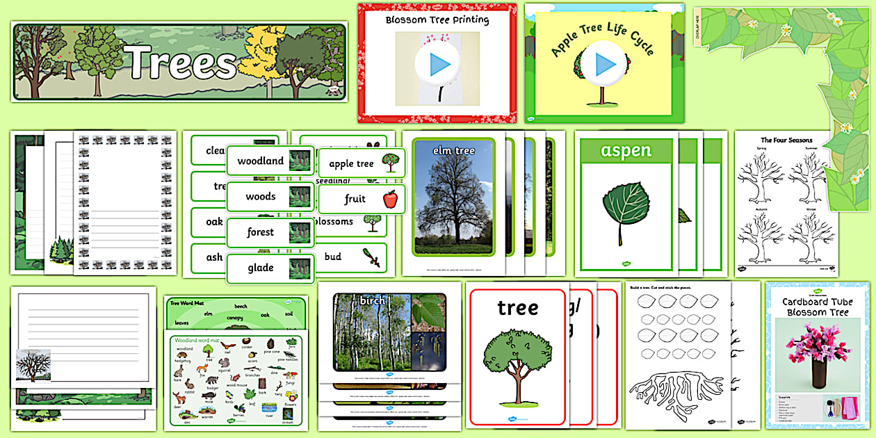 All About Trees Resource Pack - Tree Activities & Worksheets