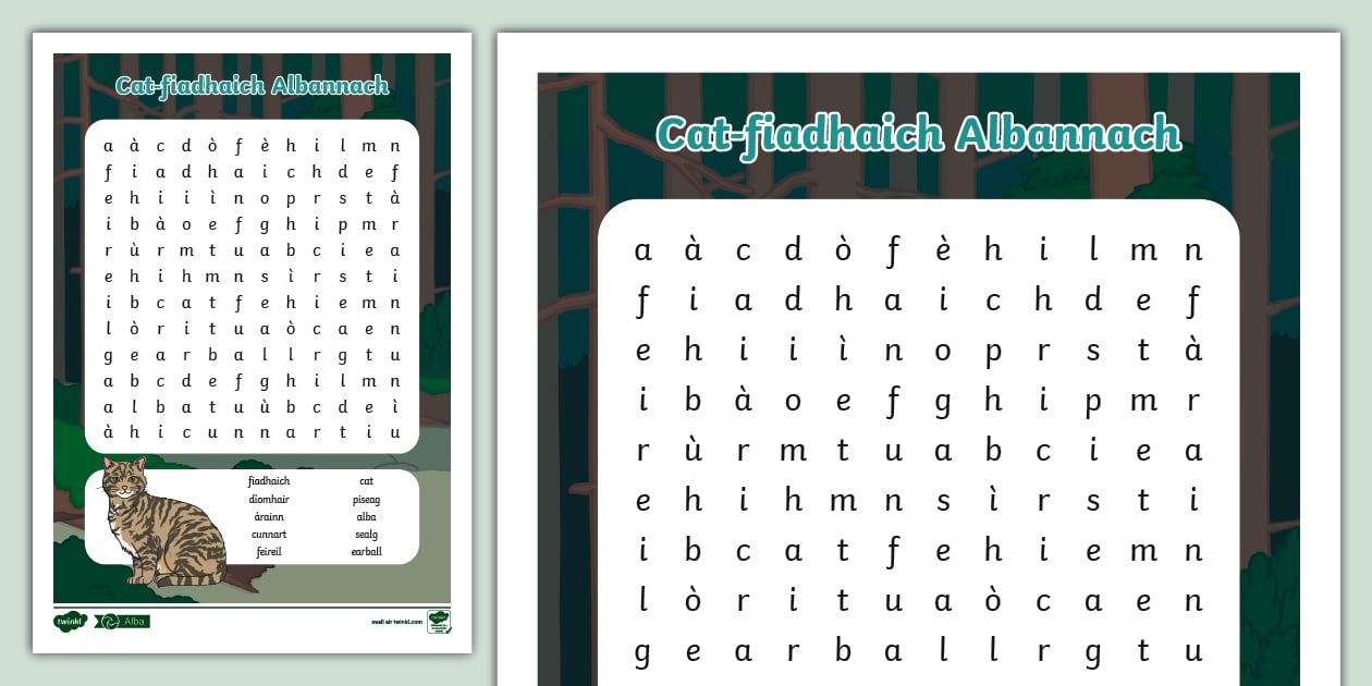 Cat-fiadhaich Albannach - Faclan-falaichte - Twinkl