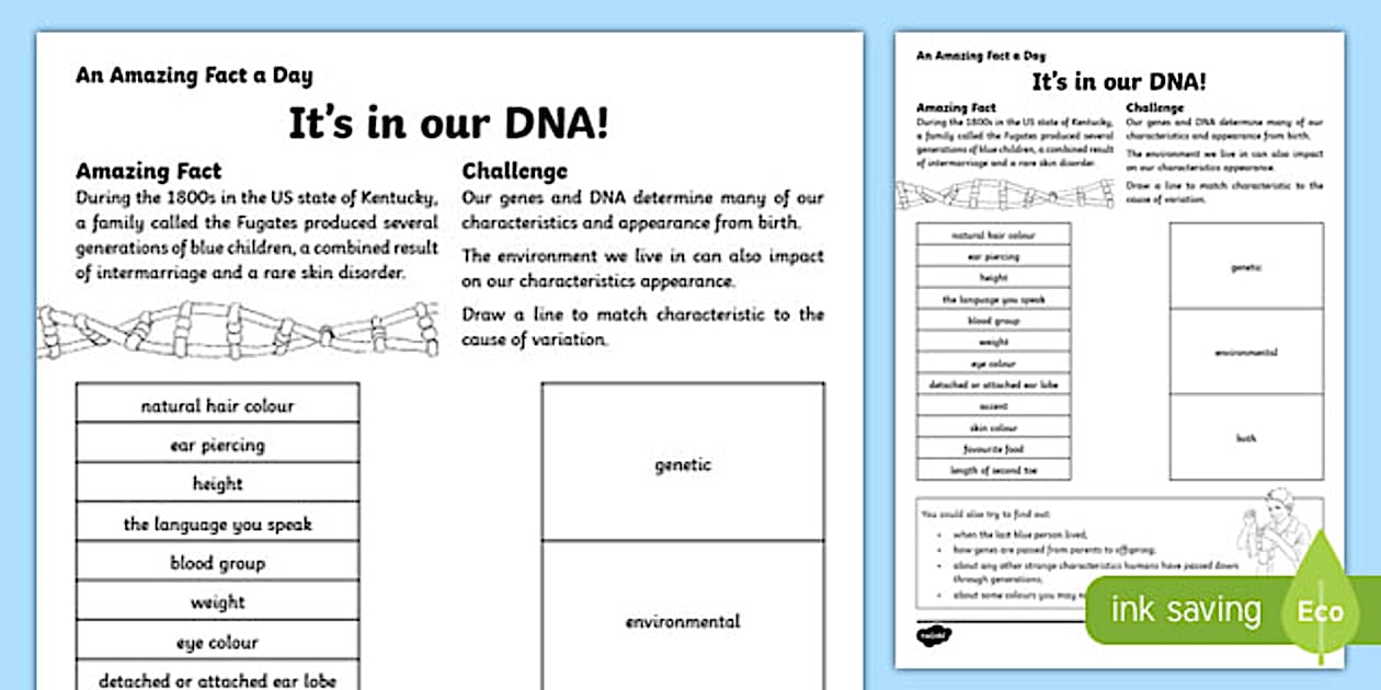 ‘It’s In Our DNA’ Worksheet - Biology (teacher made)