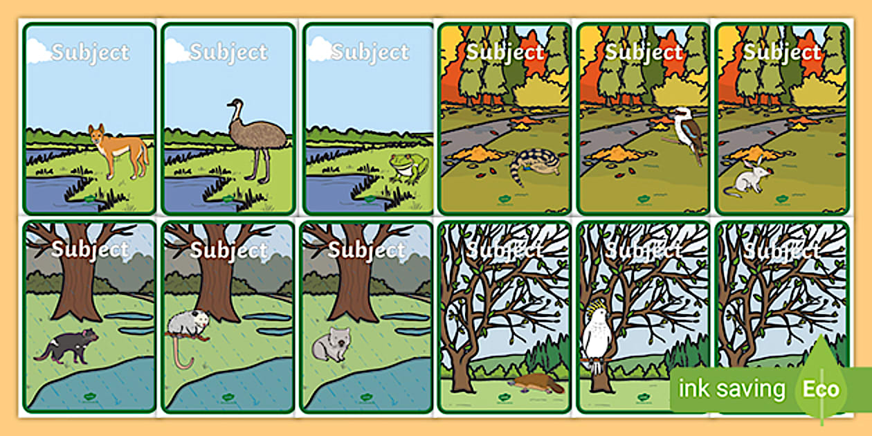 Australian Animals Editable Book Cover (teacher made)