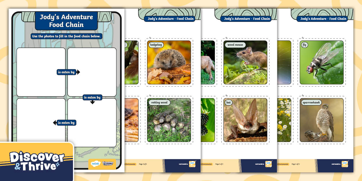 Food Chain Sequencing Activity for Infants (Teacher-Made)
