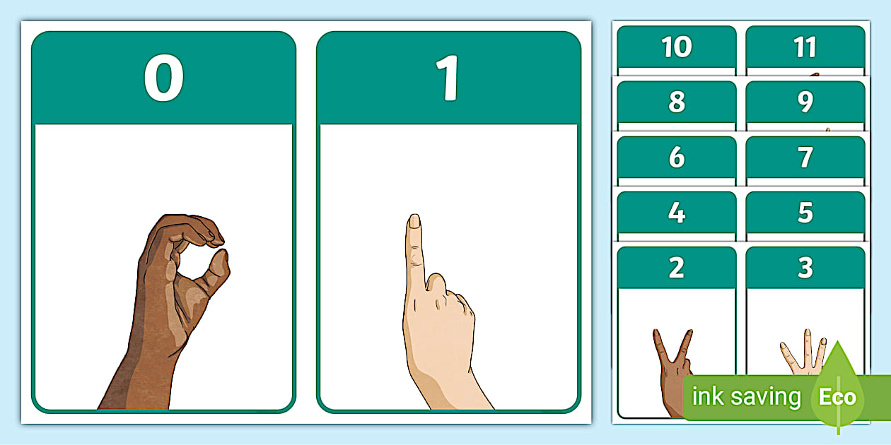 NZSL Number 0-30 Flashcards (teacher made) - Twinkl