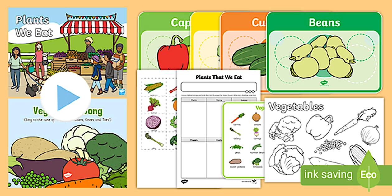 Vegetables Resource Pack (teacher made) - Twinkl