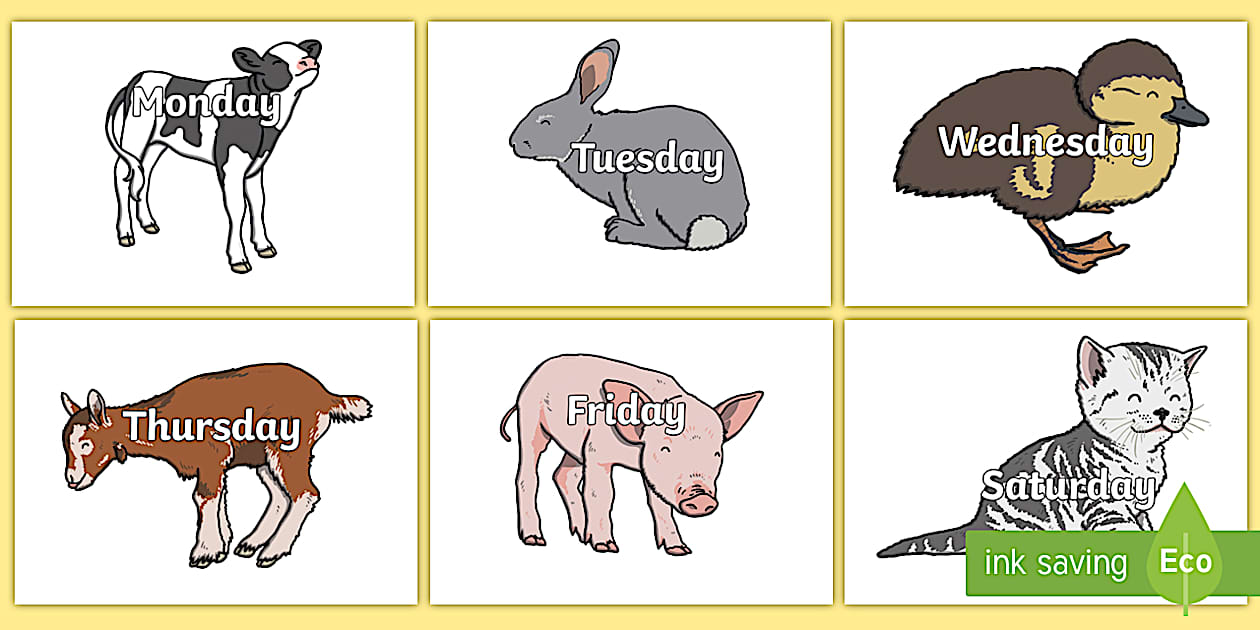 Days of the Week on Cute Animals (teacher made) - Twinkl
