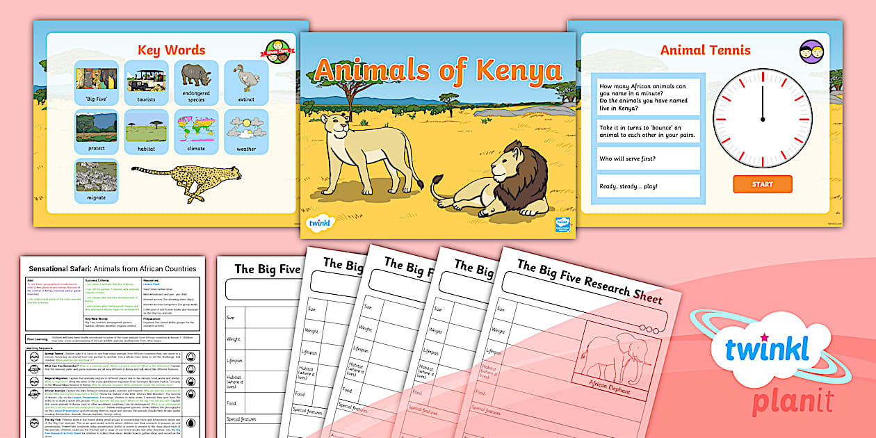 Geography: Sensational Safari: Animals from African Countries Year 2 Lesson
