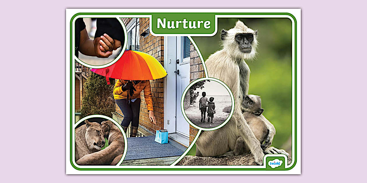 Nurture Photo Display Poster (teacher made) - Twinkl