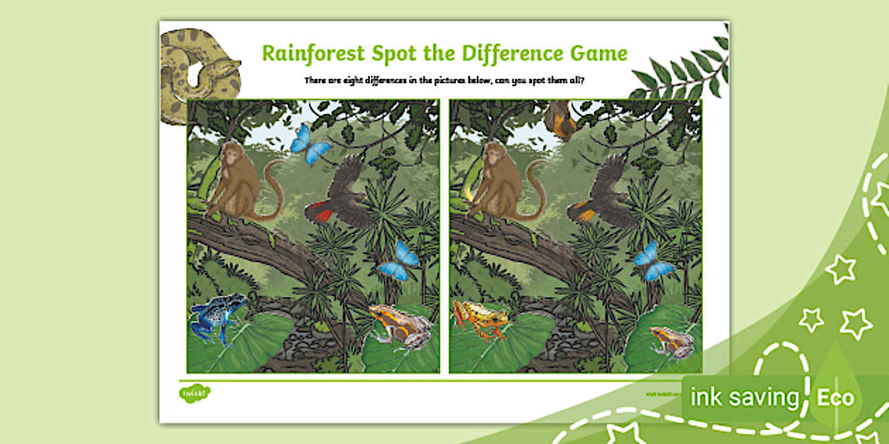 Rainforest Spot the Difference Game (Teacher-Made) - Twinkl