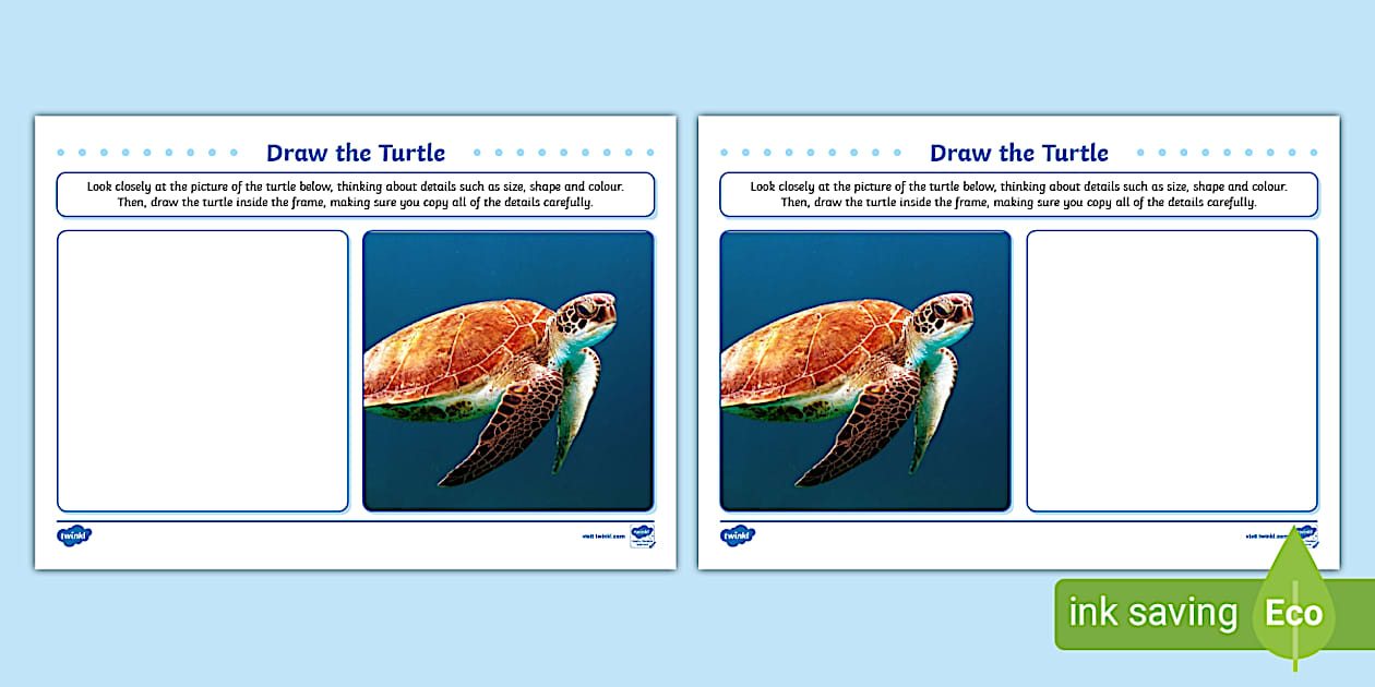 Draw the Turtle Art Activity (Teacher-Made) - Twinkl