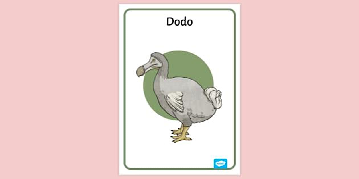 Dodo Bird Poster | Primary Resources | Twinkl Made - Twinkl