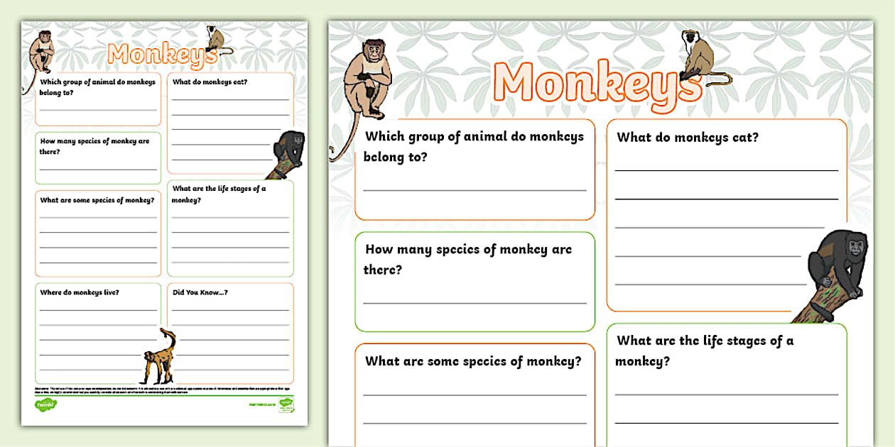Monkeys Fact File Template - Twinkl Primary (teacher made)