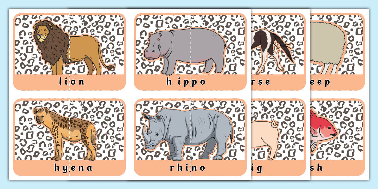 Mix and Match Animal Body Parts - Twinkl Resource - Twinkl
