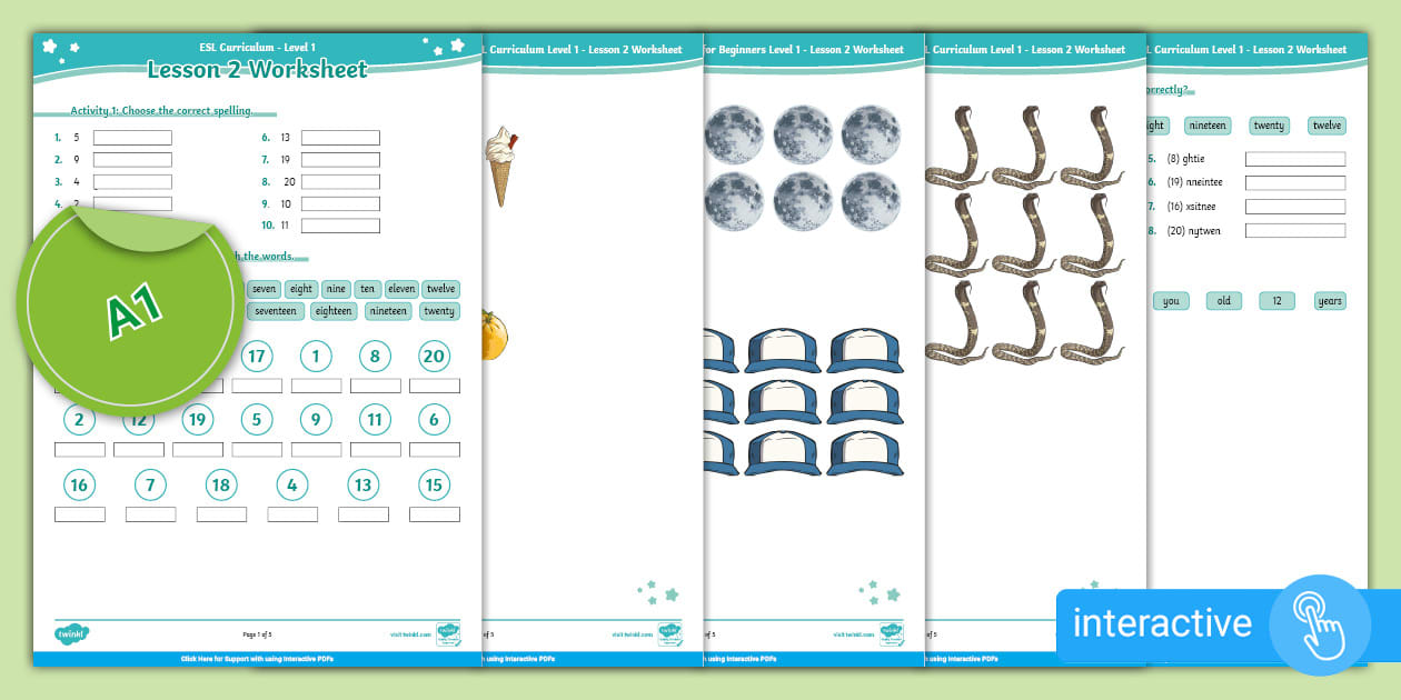ESL Curriculum for Beginners: Lesson 2 Interactive Worksheet