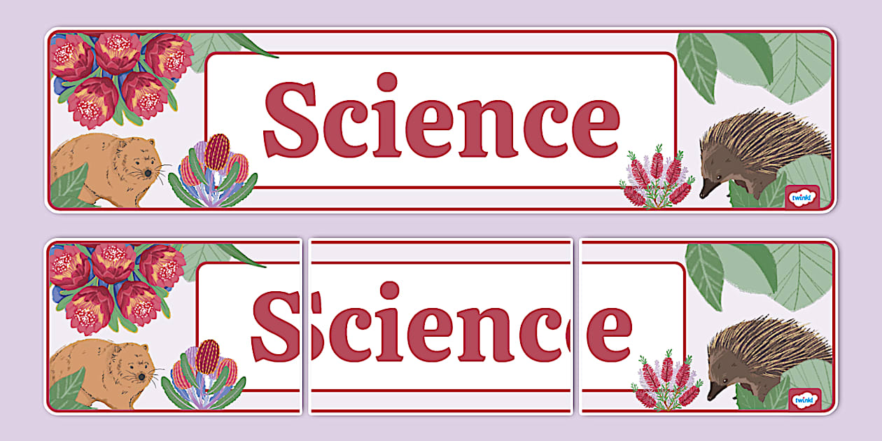 Flora and Fauna-Themed Science Display Banner (teacher made)