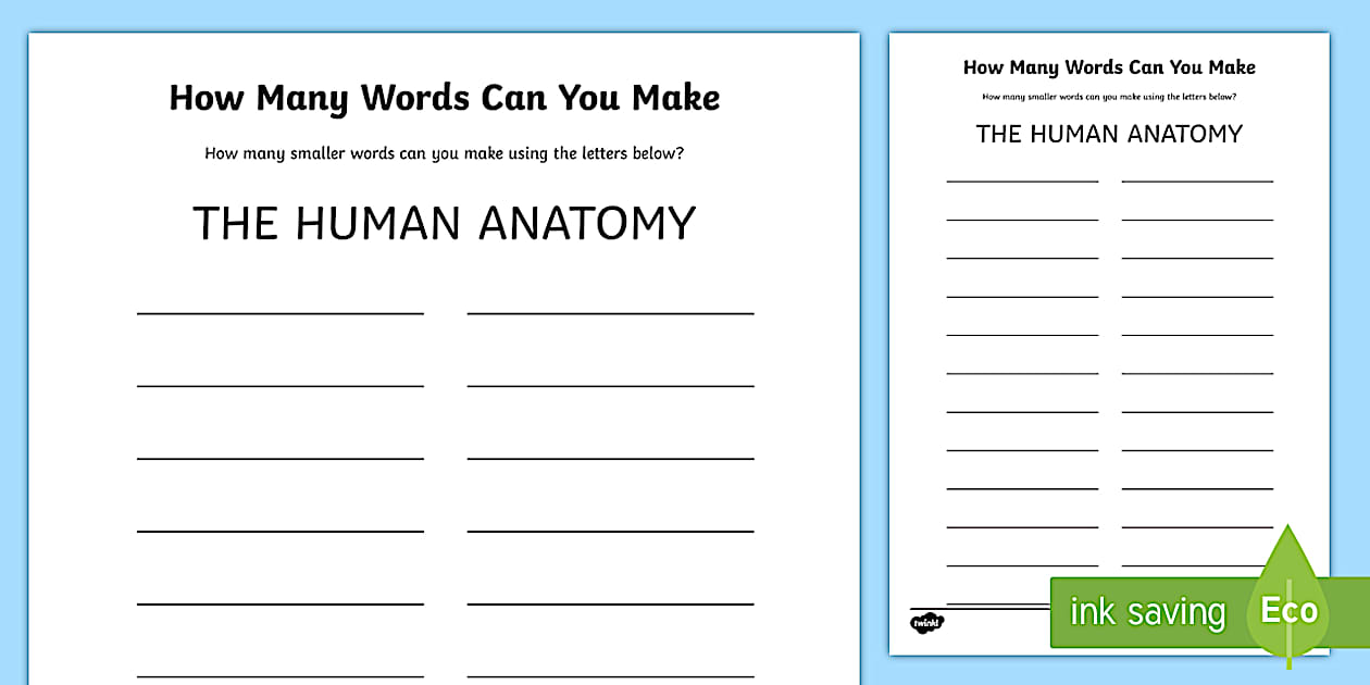 How Many Words can you Make? The Human Body Activity