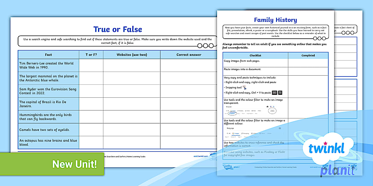 Online Searchers and Surfers: Year 3 Home Learning Tasks